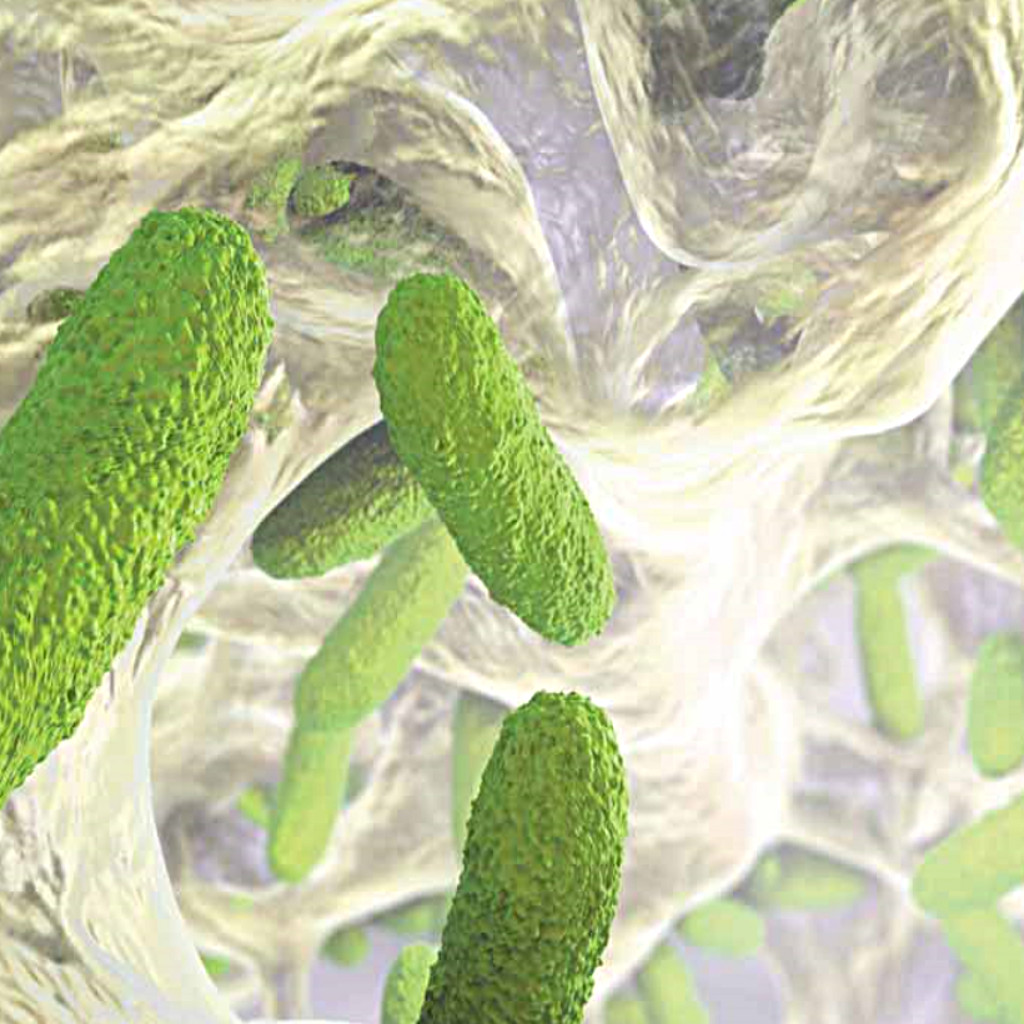 The changing environment in pyrogen and endotoxin testing - microcoat.de
